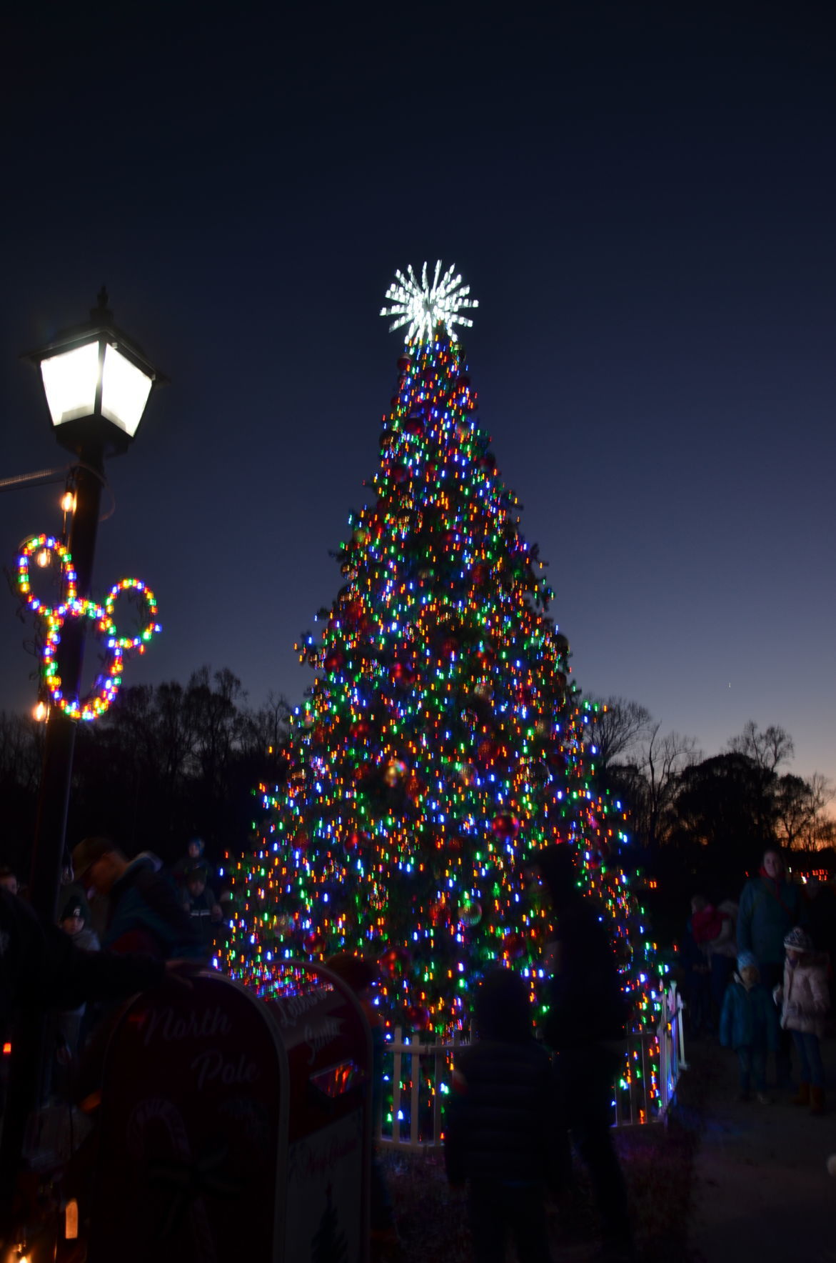 Winterfest Tree Lighting ceremony | Local | dcmilitary.com