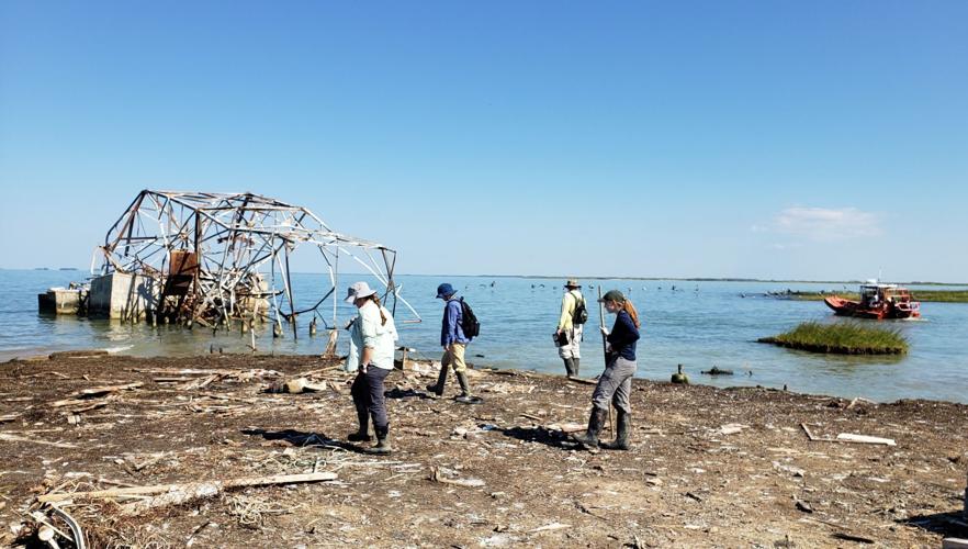 Environmental Division continues monitoring Bloodsworth, Adam islands ...