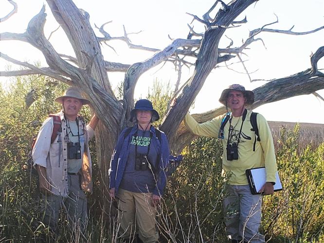 Environmental Division continues monitoring Bloodsworth, Adam islands ...