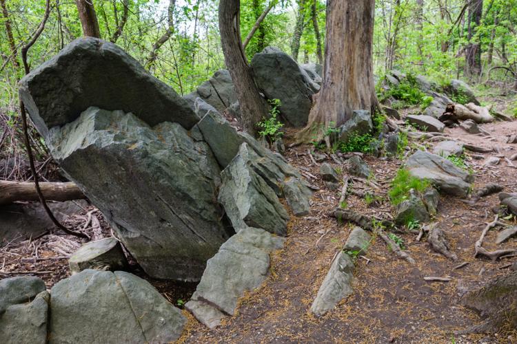 Explore D.C.: Theodore Roosevelt Island | Community | dcmilitary.com