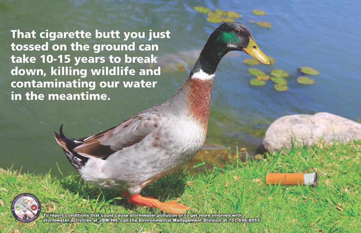 Bin your butts! Littered cigarette butts impact the environment, the ...