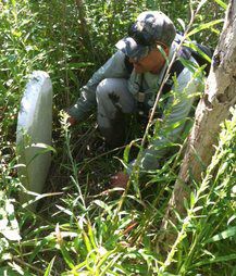 Grave situation on Bloodsworth Island | Local | dcmilitary.com