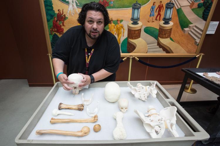 Explore D.C.: National Museum of Health and Medicine | Community ...