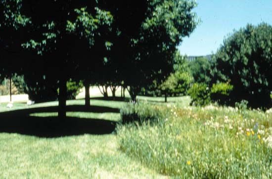 Low Impact Development (LID) SW Management Requirements on Navy ...