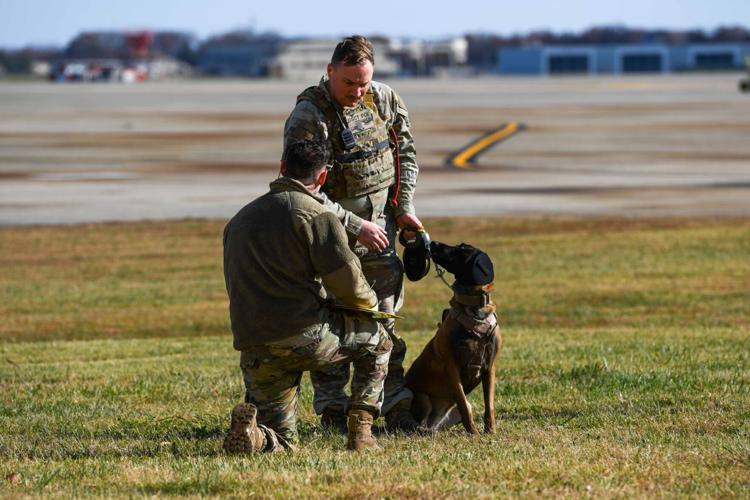 Ruff Riders: Military working dogs, 1st helicopter squadron conduct ...