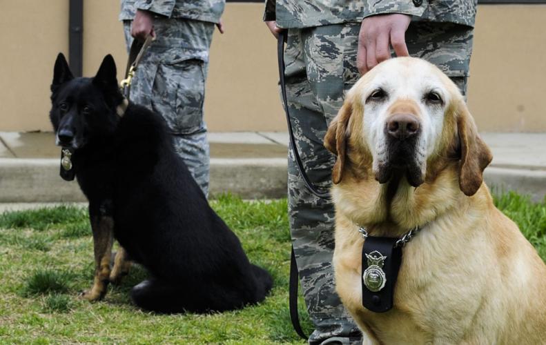 JBA K9 handlers ‘paws’ for retirement ceremony | News | dcmilitary.com