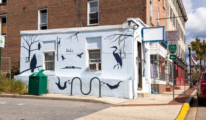 From Overseas to Arm Sleeves: How Elkton's Massimiano marries art ...