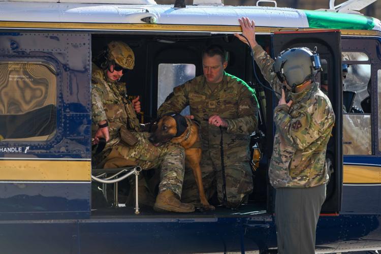Ruff Riders: Military working dogs, 1st helicopter squadron conduct ...