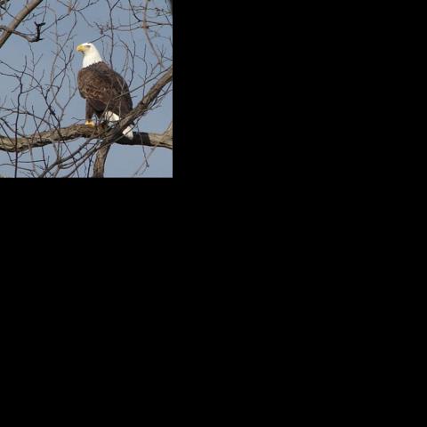 First Sentry | Local | dcmilitary.com