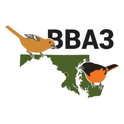 Keep those Pax River bird sightings coming during BBA3 | Local ...