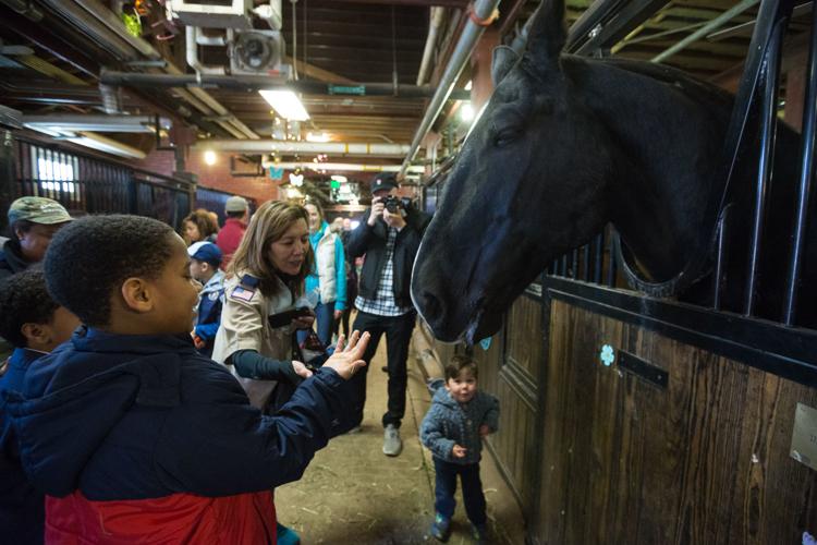 Caisson Platoon hosts spring open house | Local | dcmilitary.com