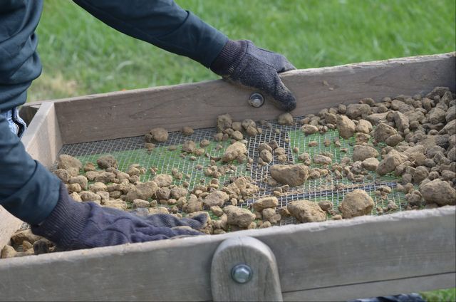 Webster Field archaeological dig unearths artifacts | Local ...
