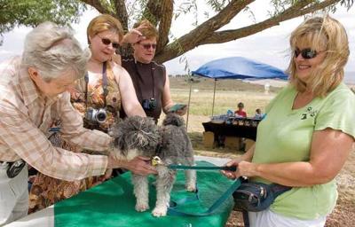 Photos: Blessing of the Pets | News | dcourier.com