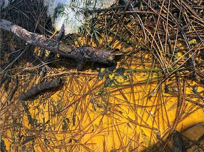 ADEQ surface-water and soil-test results near Walker show no imminent ...