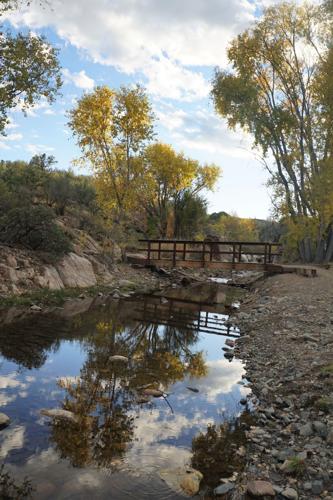 Prescott Area Waterfront Fall Foliage | Photo Galleries | dcourier.com