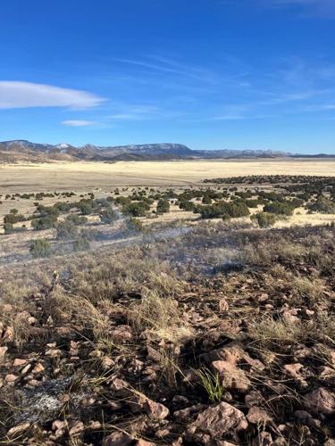 Target shooting leads to wildland fire in Prescott | News | dcourier.com