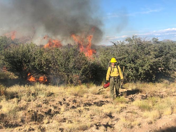 Forest Service encouraging natural burn of Pemberton Fire | News ...