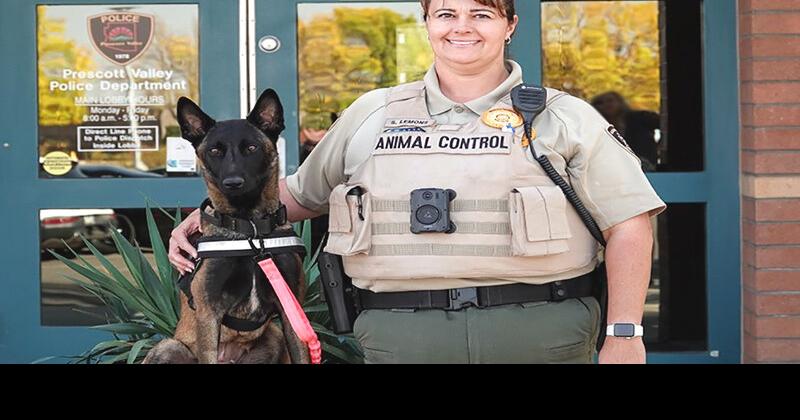 ‘Mallie’ is Prescott Valley Police Department’s new facilities dog ...