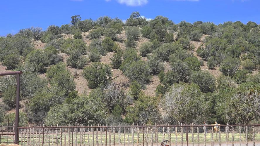 2-year old rescued after spending night alone in rugged terrain, found ...