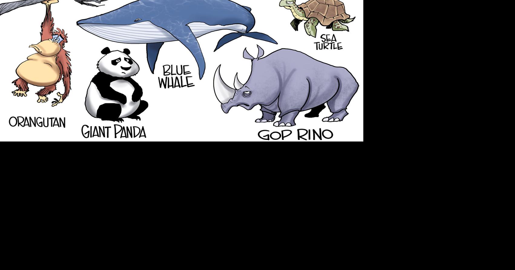 Editorial cartoon (2): May 29, 2026 | Opinion | dcourier.com