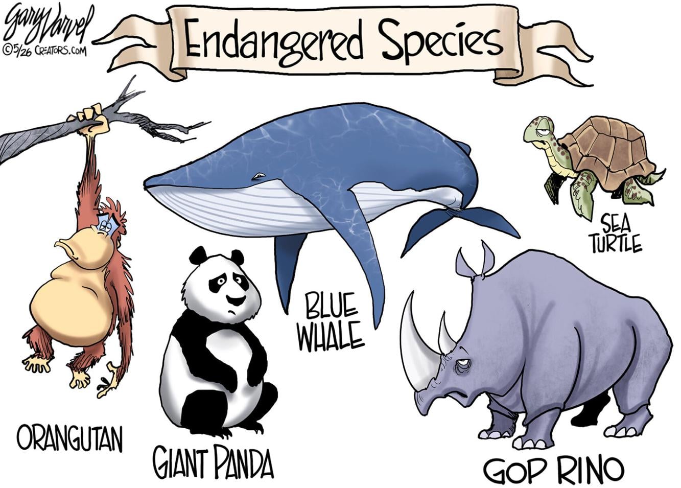 Editorial cartoon (2): May 29, 2026 | Opinion | dcourier.com