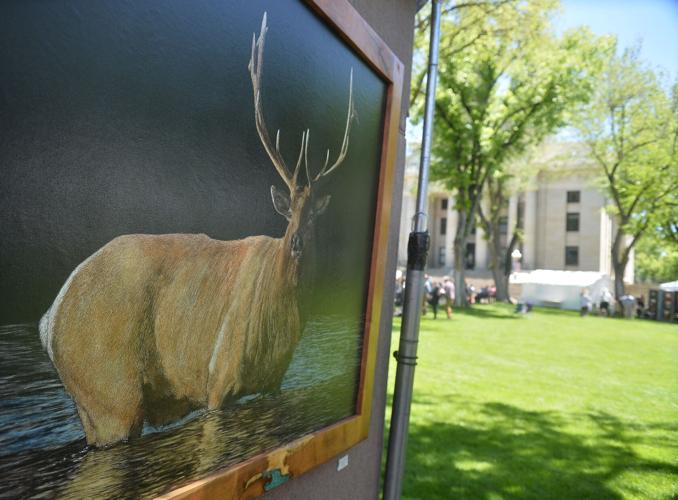 2019 Phippen Art Show | Photo Galleries | dcourier.com