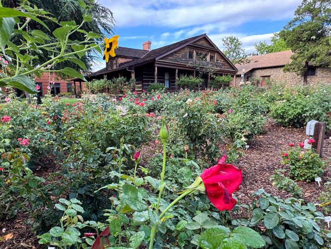 Master Gardner Tour to educate residents on home growing possibilities ...