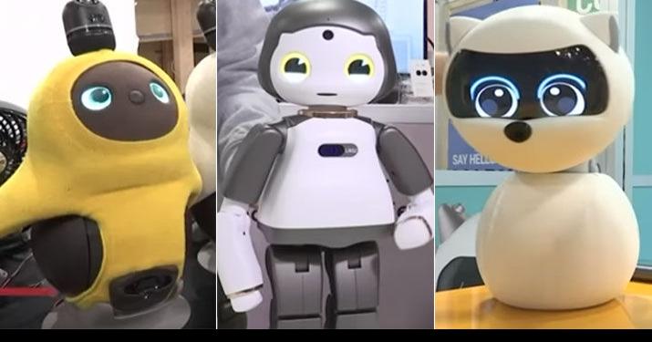 Watch: Robots tug on the heartstrings at CES gadget show | Odd ...