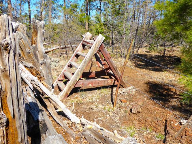 Amazing Places: Mysterious cabin on Mingus Mountain, discovered in 2018 ...