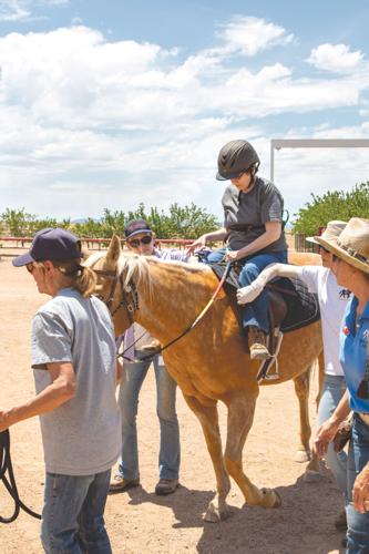Finding and Making the Good: recognizing ‘Horses with Heart’ | Chino ...