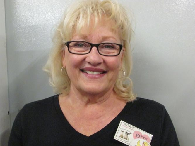 Love of animals? Kitty Shankwitz and NOAH Thrift Store want you ...