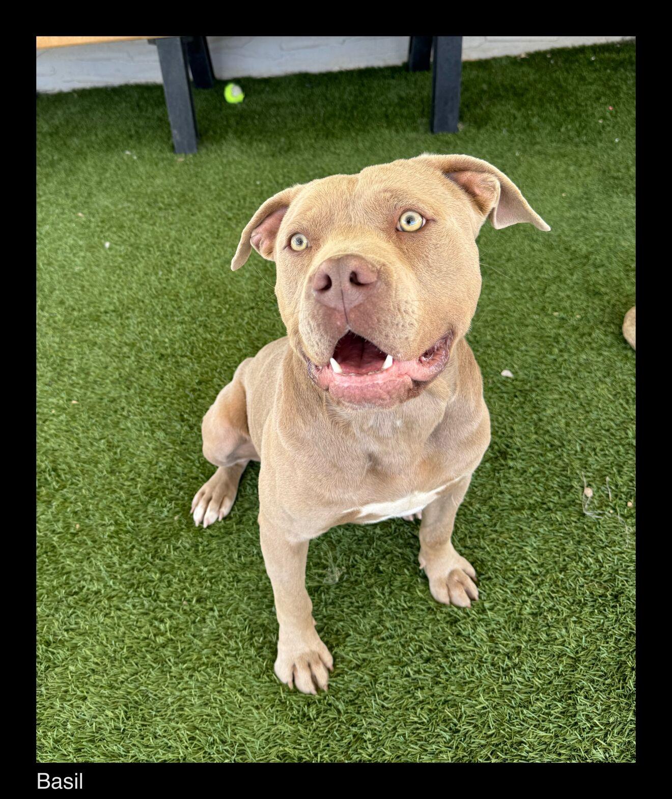 Page A8 | e-Edition | dcourier.com