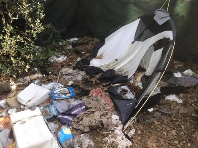 Trashed forest areas take time, effort to clean up | News | dcourier.com