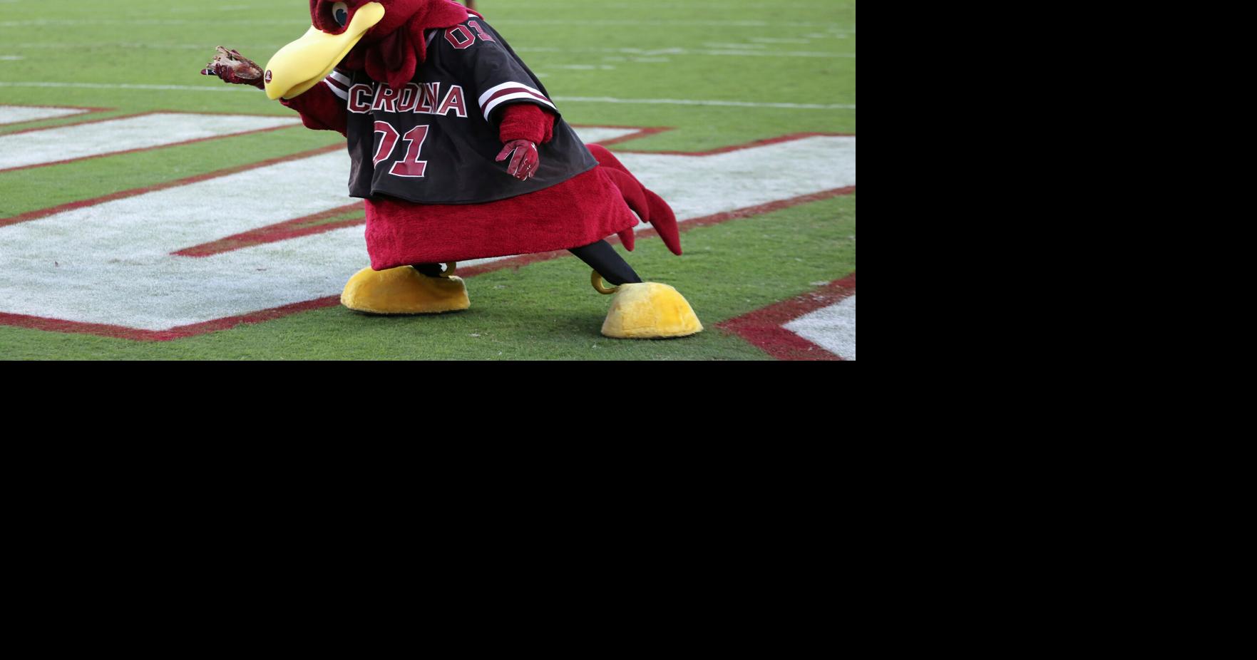College football mascots just as good at keeping their identities ...