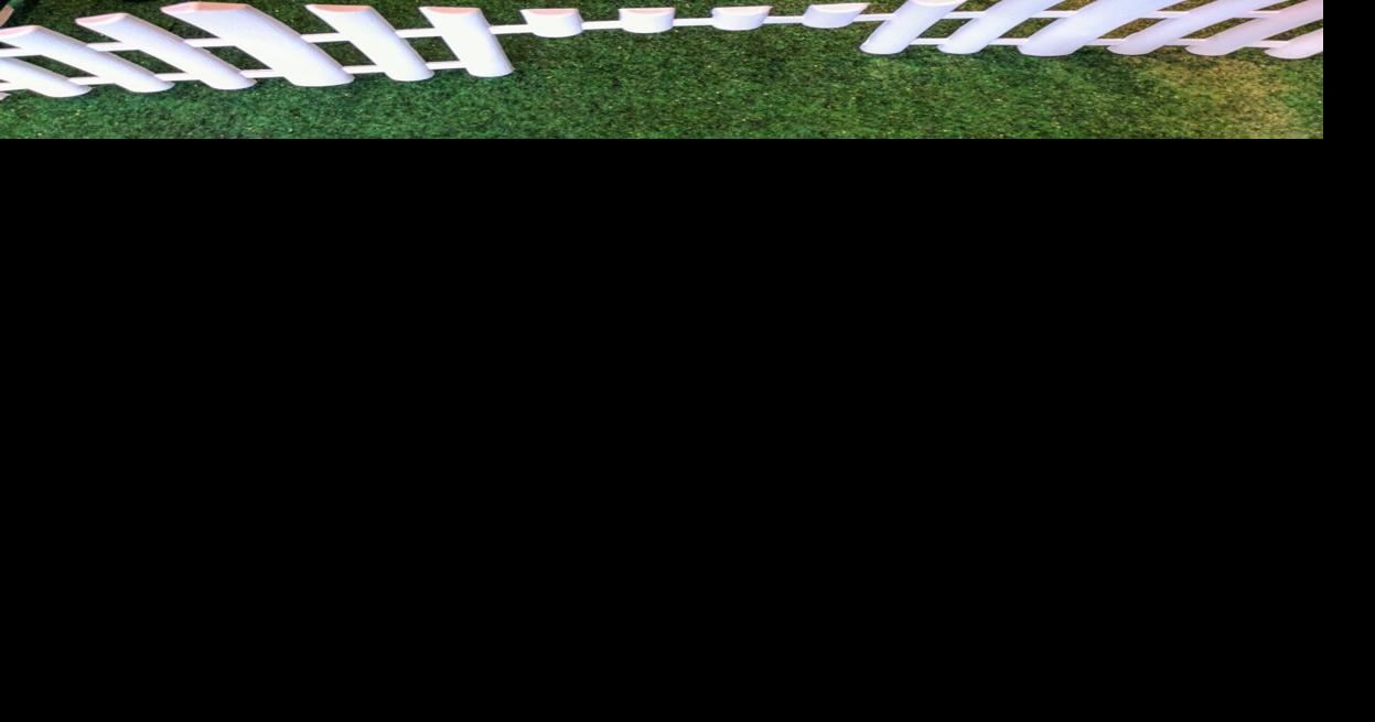 First Putt Putt Pub Crawl takes place Sunday | Archives | dcourier.com