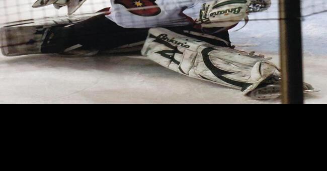 Arizona Sundogs welcome challenges on road | Sports | dcourier.com