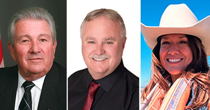Yavapai County Board of Supervisors District 4 Candidates 2024 – bios ...