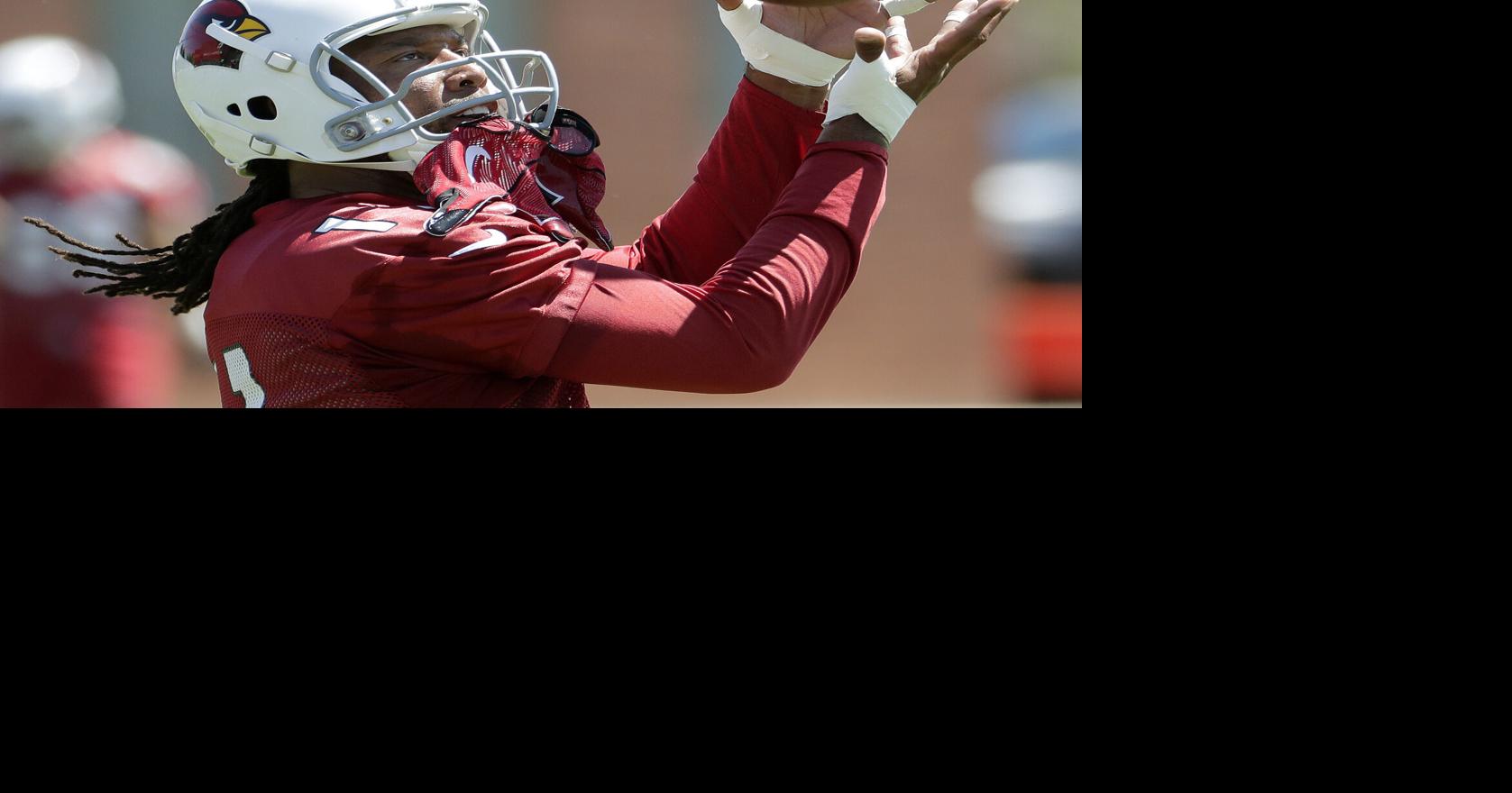 Fitzgerald still going strong as he approaches 15th season | Sports ...