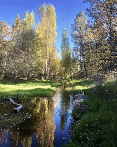 Prescott Area Waterfront Fall Foliage | Photo Galleries | dcourier.com
