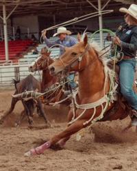 Rodeo Roundup: Arizona High School Rodeo Association Finals at Prescott ...