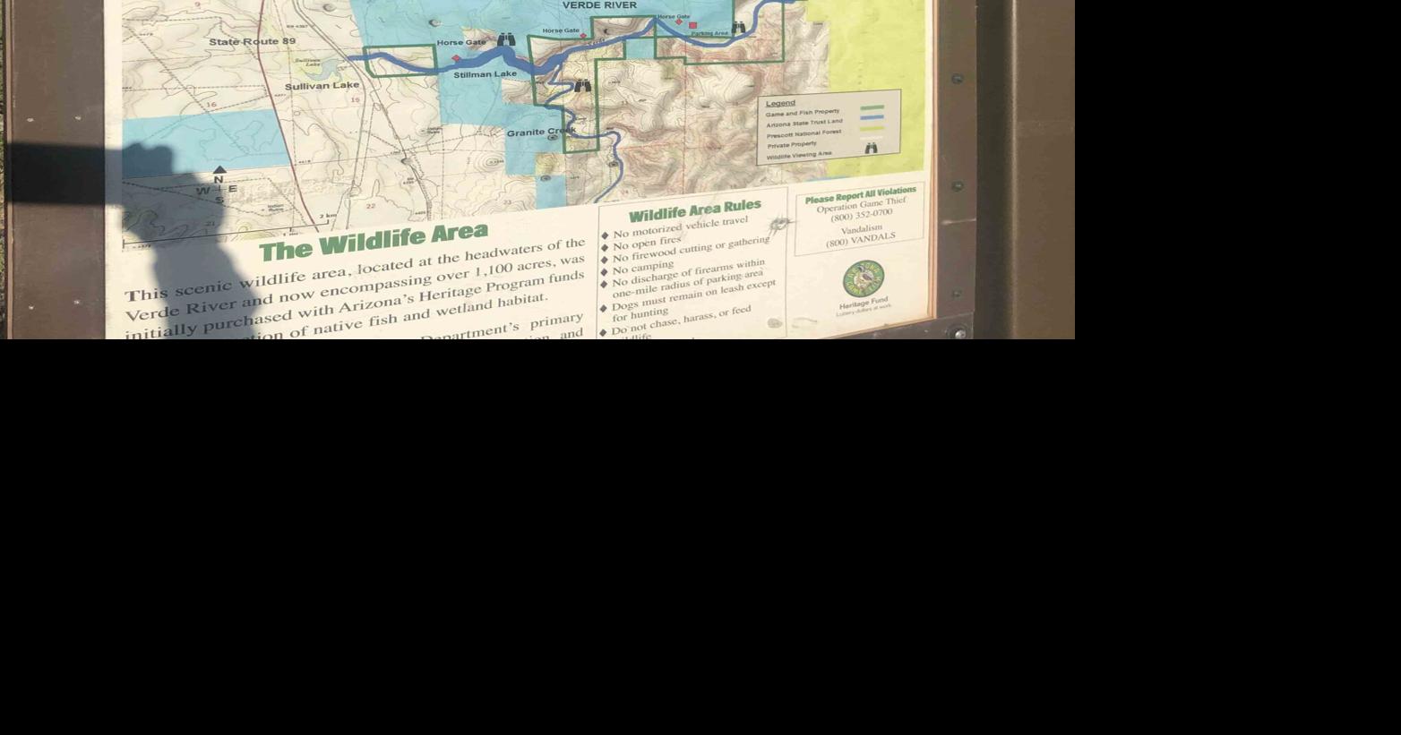 Birding column: Birding at the Upper Verde River Wildlife Area ...