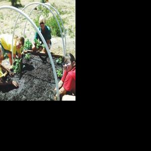 Planting the seeds and reaping enthusiasm | Life | dcourier.com