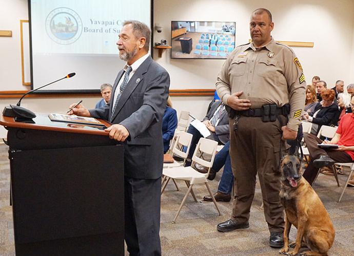 Remembering retired YCSO K-9 Gemma | News | dcourier.com