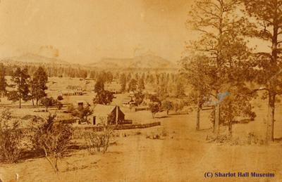 Arizona History: May 24-May 30 | Features | dcourier.com