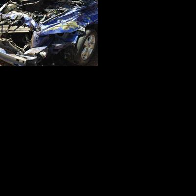 Embry-Riddle students survive crash with two elk | News | dcourier.com