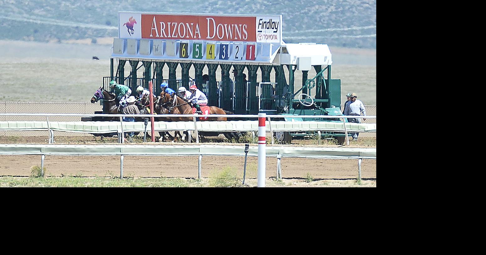 Horse racing returns to Arizona Downs | News | dcourier.com