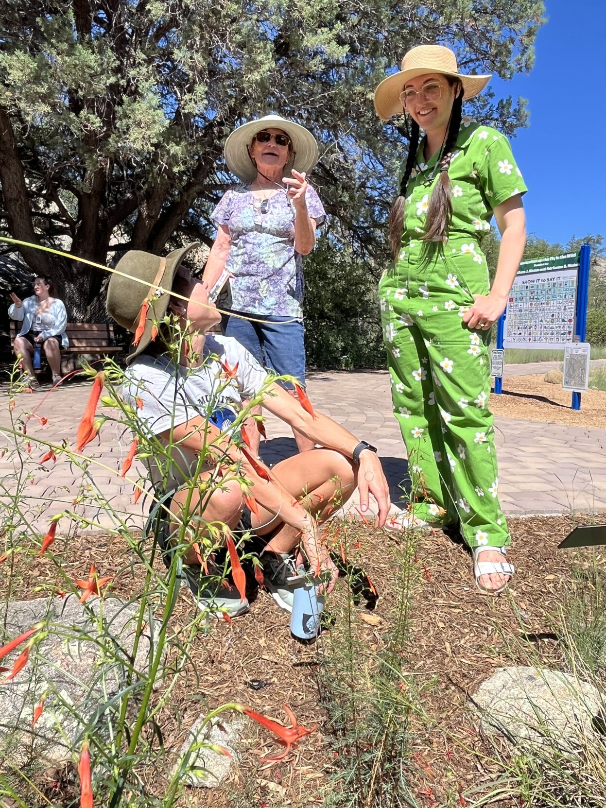 Nature’s wildflower bounty on display Saturday at Prescott Community ...