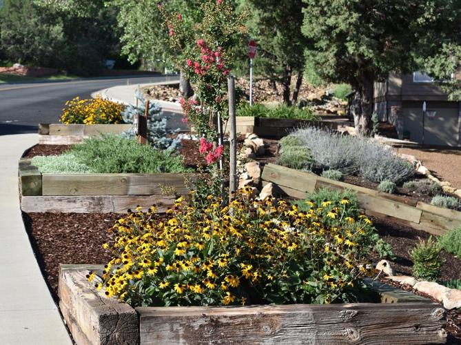 Garden of the Month: September 2018 - Hard work turns garden into ...