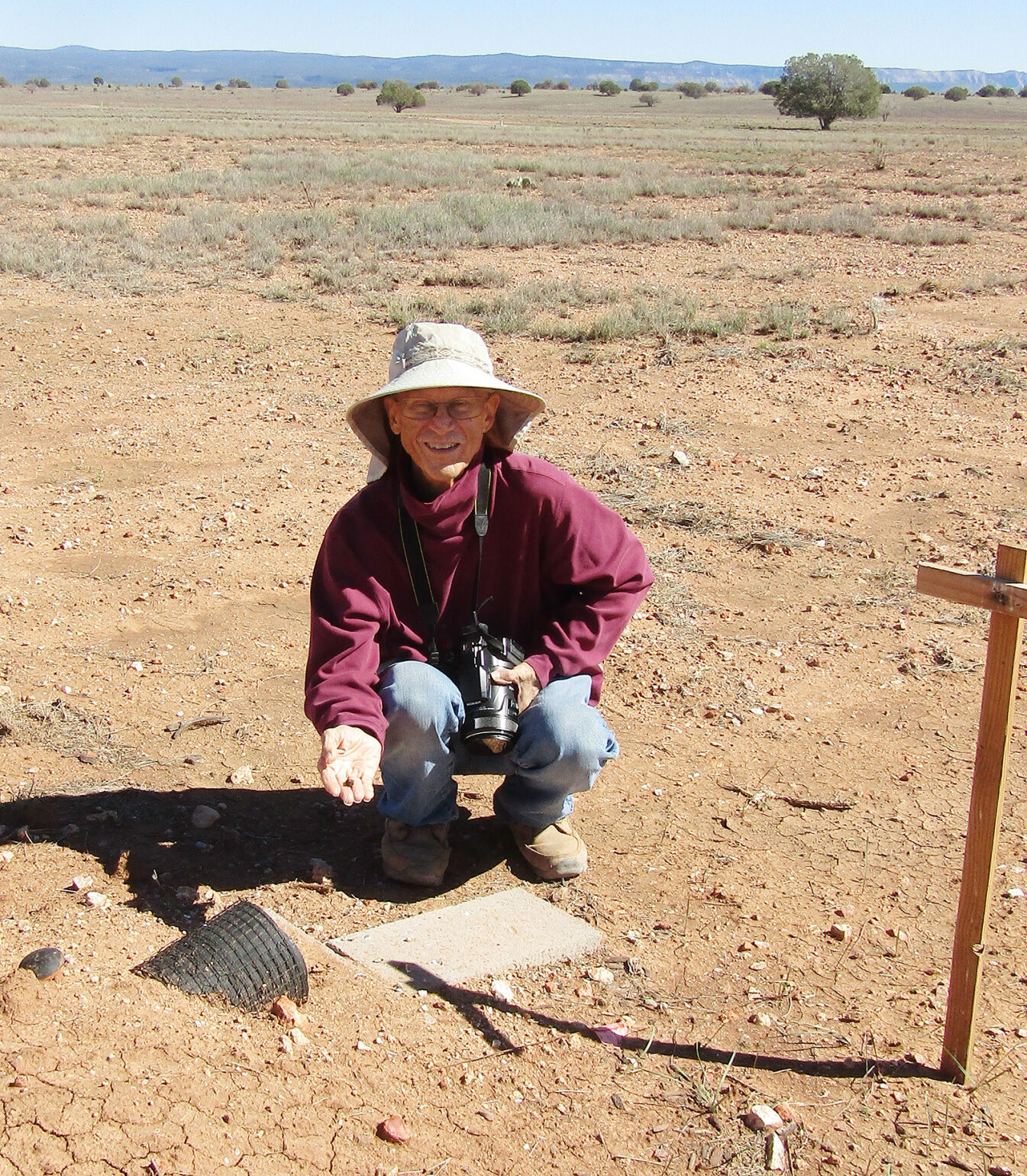 Paulden grasslands become refuge for burrowing owls | News | dcourier.com