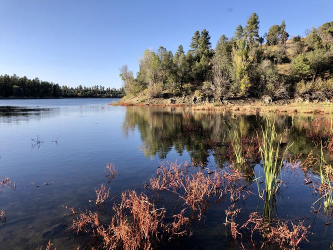 It’s happening: Where to find Prescott-area fall colors and when to ...